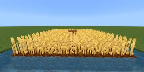 Fancy Crops - Minecraft Bedrock Texture Packs - CurseForge