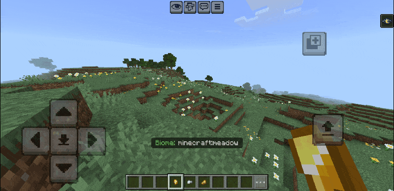 Biome Indicator BE - Minecraft Bedrock Addons - CurseForge