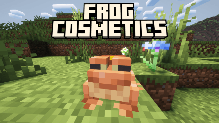 FROG COSMETICS - Minecraft Resource Packs - CurseForge