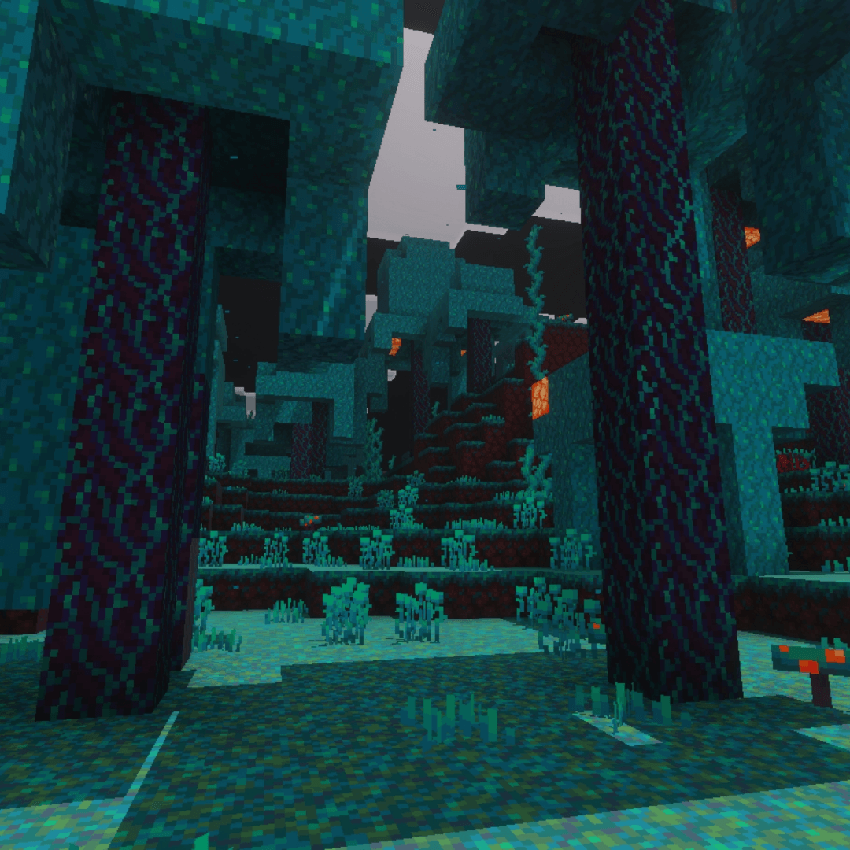 Warped Forest World #11 Minecraft Map