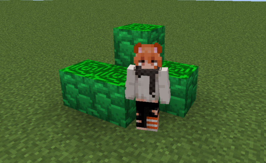 AshenOG's Green Debris! - Minecraft Resource Packs - CurseForge