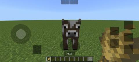 Minimalist Buttons - Minecraft Bedrock Texture Packs - CurseForge