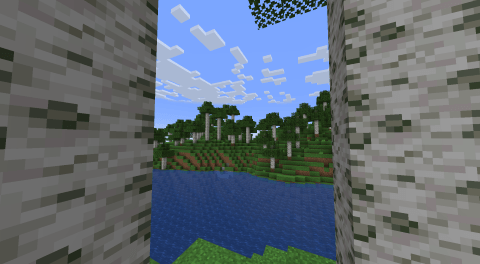 Pretty Birch Logs - Minecraft Resource Packs - CurseForge