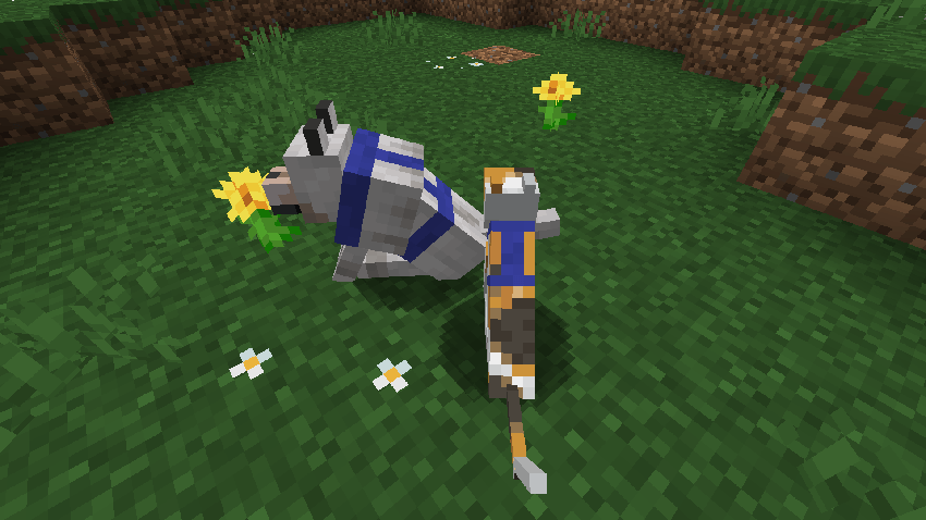 Harness for dogs and cats - Minecraft Resource Packs - CurseForge