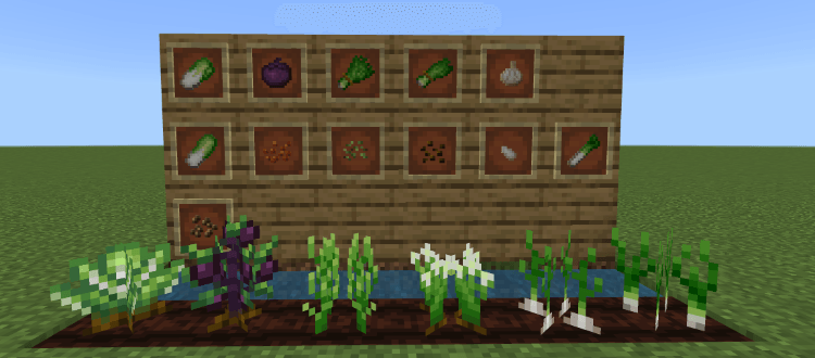 Dumplings Delight Bedrock (Unofficial) - Minecraft Bedrock Addons ...
