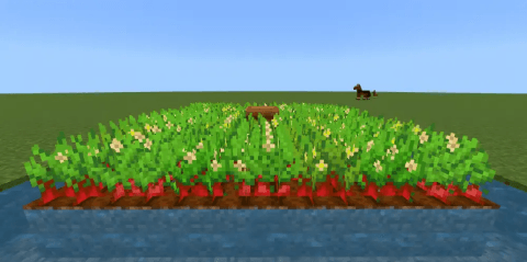 Fancy Crops - Minecraft Bedrock Texture Packs - CurseForge