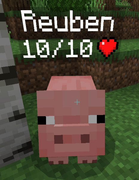 Simple Health Indicator - Minecraft Bedrock Addons - CurseForge