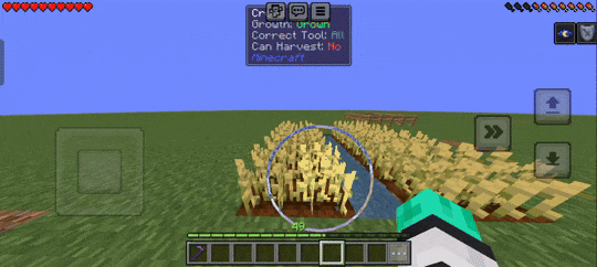 XP From Crops - Minecraft Bedrock Addons - CurseForge