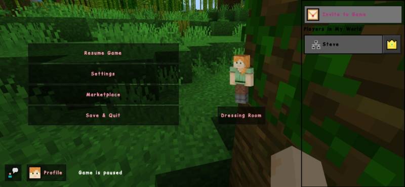 Alya Ui ( Anime Girl Animated Ui ) - Minecraft Bedrock Texture Packs ...