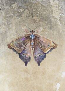 Butterfly and moth paintings - The Sims 4 Build / Buy - CurseForge