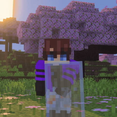 Ponky's Transparent Shield - Minecraft Bedrock Texture Packs - CurseForge