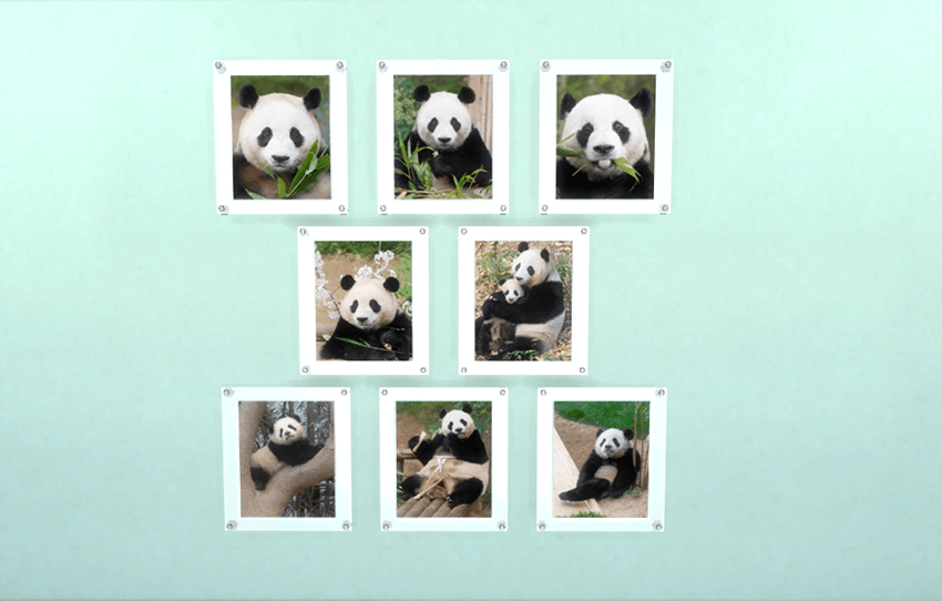 Panda picture - Bao Family - The Sims 4 Build / Buy - CurseForge