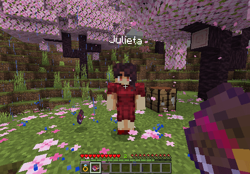 Phoenix Family - Minecraft Bedrock Addons - CurseForge