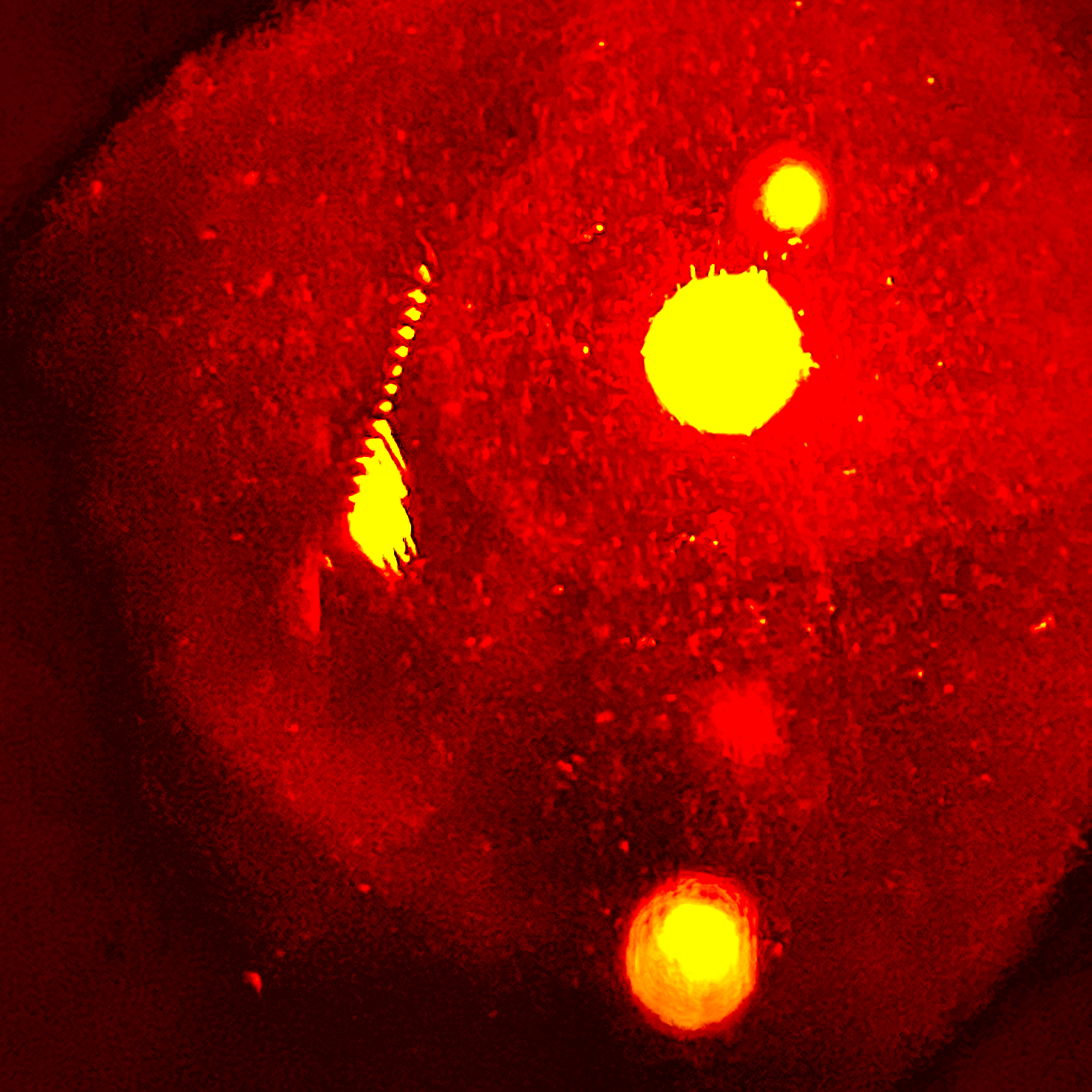 Method overwrite conflict - REDACTION issues - Minecraft