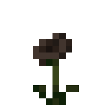 Consistent Wither Rose Screenshots - Resource Packs - Minecraft
