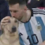 Found Footage (Fanmade) - Minecraft Modpacks - CurseForge