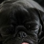 Moss Overgrowth! - Files - Minecraft Mods - CurseForge