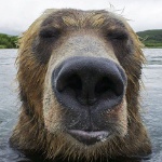 MSM Better Explosions - Minecraft Mods - CurseForge