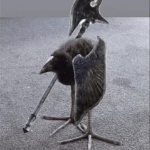 Forge & Frontier [FORGE] - Minecraft Modpacks - CurseForge