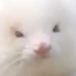 Block XP - Minecraft Mods - CurseForge