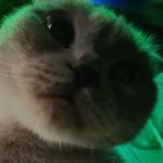 Immersive Steampunk - Minecraft Modpacks - CurseForge