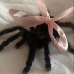 Shredder - Minecraft Mods - CurseForge