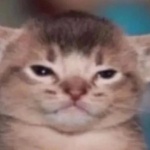 Hurglet's Auction House - Dependencies - Minecraft Bedrock Addons ...