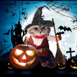 Item Scrapper - Minecraft Mods - CurseForge