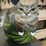 Providence - Minecraft Modpacks - CurseForge