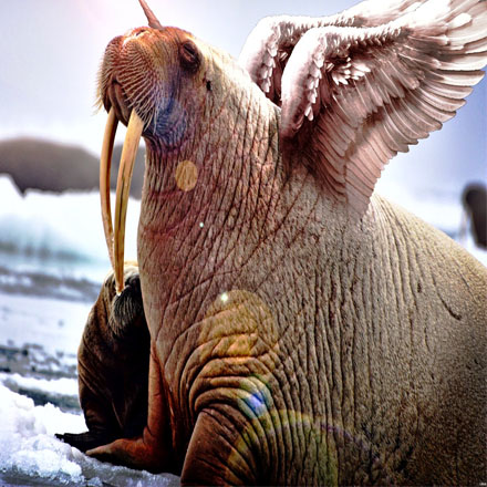 Project Stealth Walrus - Screenshots - Minecraft Modpacks - CurseForge