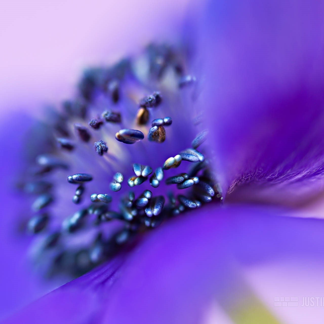 Skorpiverse! - Minecraft Modpacks - CurseForge