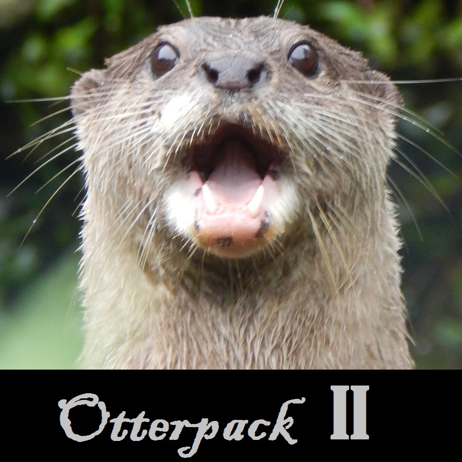 Otterpack II - Modpacks - Minecraft - CurseForge