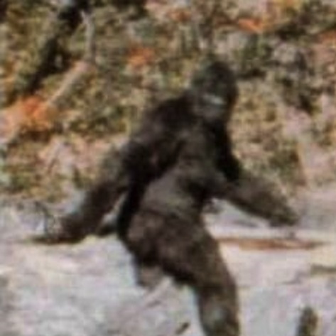 Wild Cryptids And Conspiracies Mod - Minecraft Mods - CurseForge