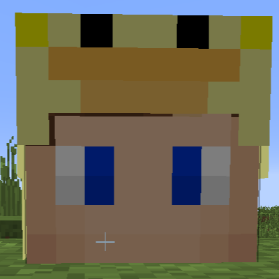 Overview - Head Plugin - Bukkit Plugins - Projects - Bukkit