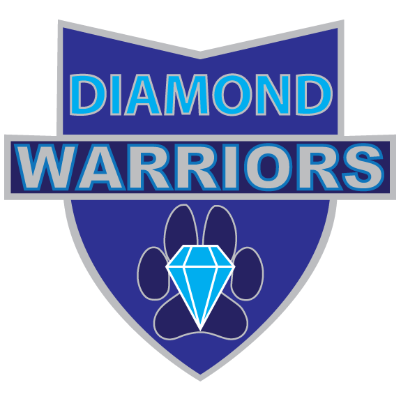 Diamond Warriors Team IV Content Pack - Minecraft Mods - CurseForge