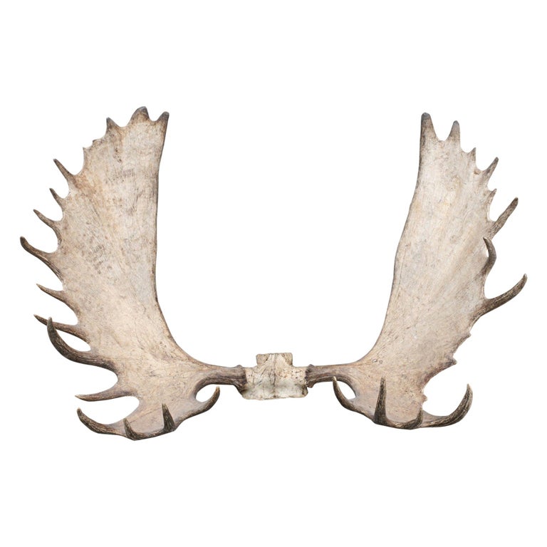 MooseMod - Minecraft Mods - CurseForge