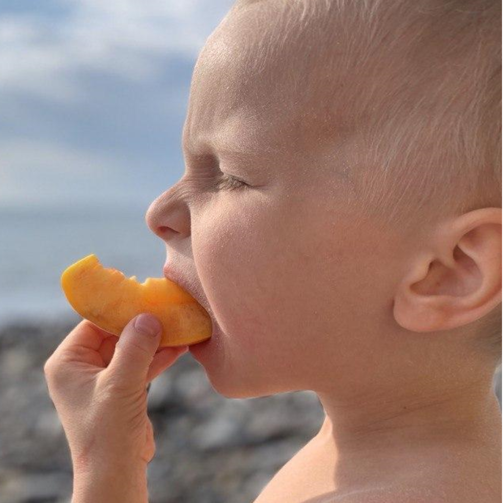 Tisha's Modpack - Minecraft Modpacks - CurseForge