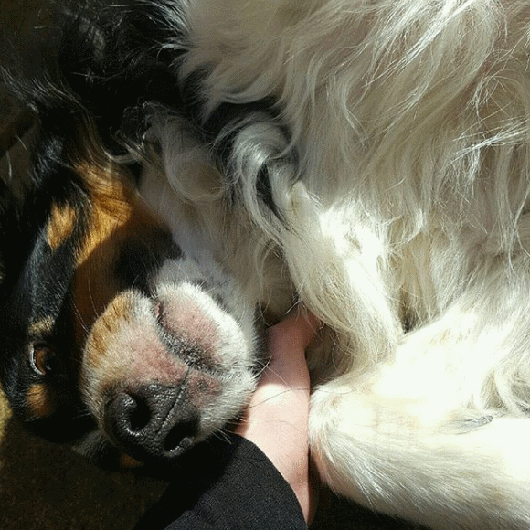 Arduous Tech - Minecraft Modpacks - CurseForge