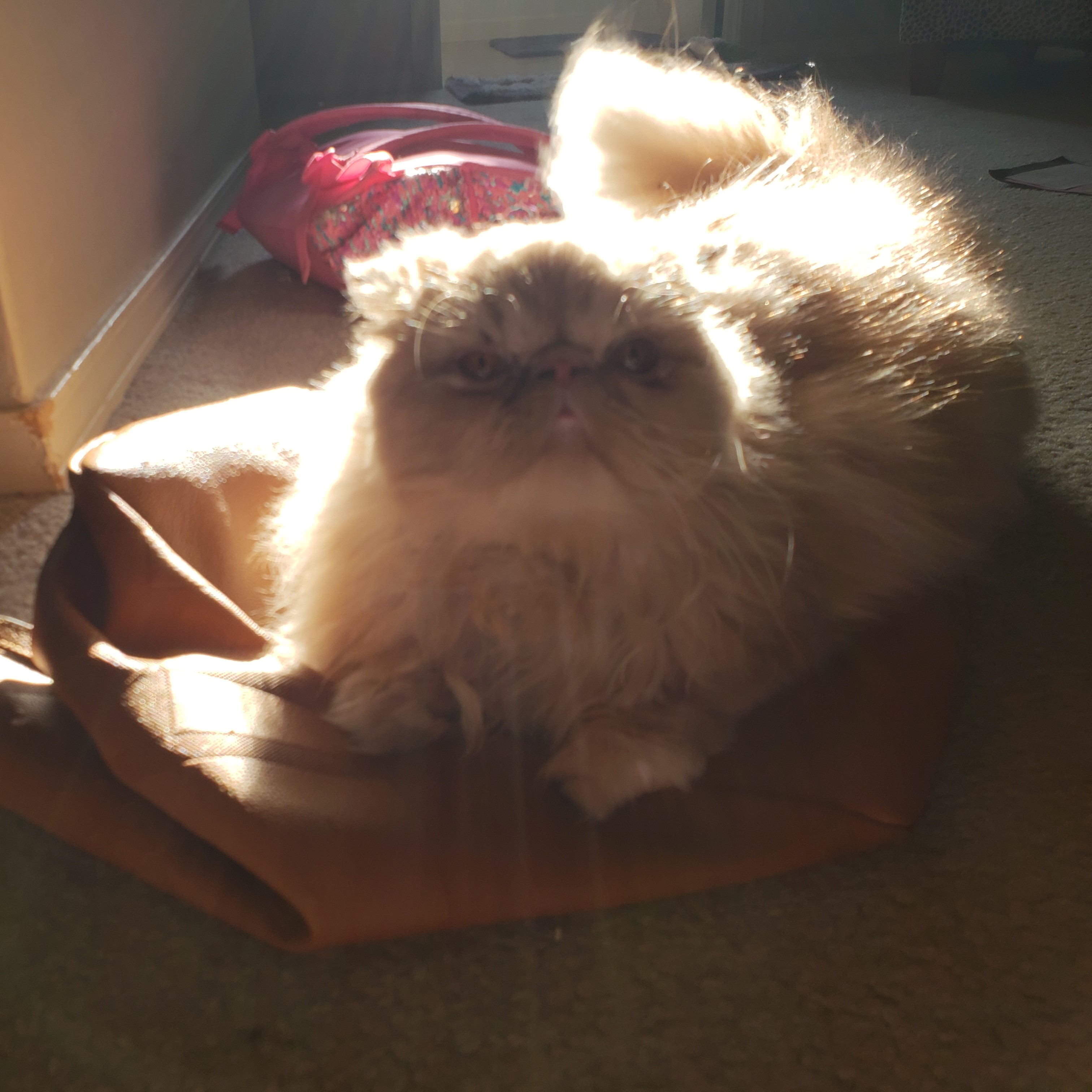 CHEB - Minecraft Mods - CurseForge