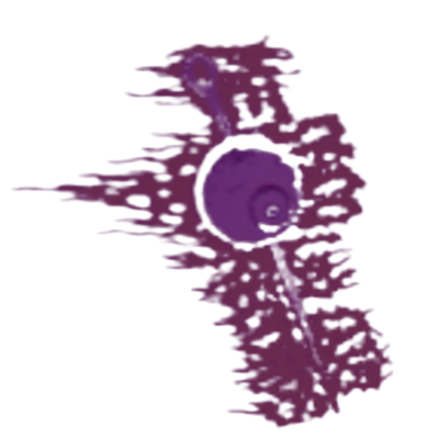 The Collection Collective - Minecraft Modpacks - CurseForge