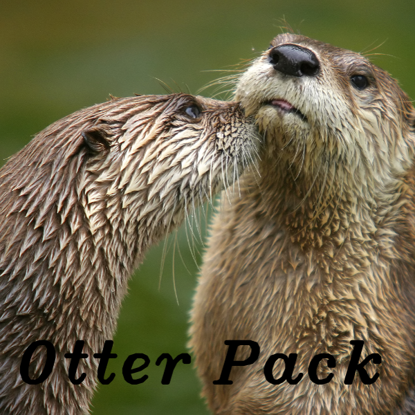 Otter Pack - Minecraft Modpacks - CurseForge