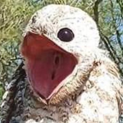 Potoo - Multiplayer Enhanced - Minecraft Modpacks - CurseForge