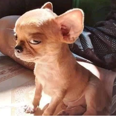 Random things mod (RTM) - Files - Minecraft Mods - CurseForge