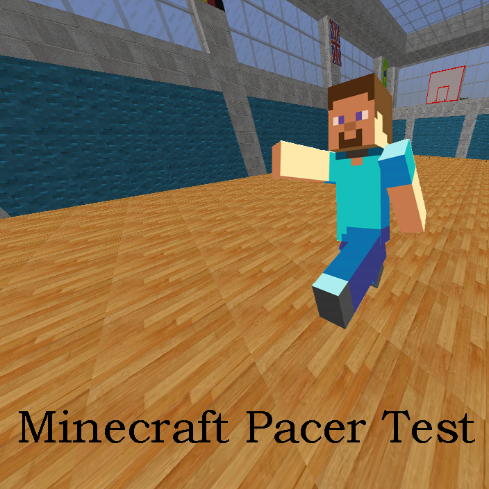 Minecraft Pacer Test