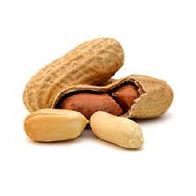 Peanut - Minecraft Mods - CurseForge