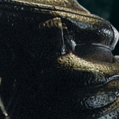 Alien Vs Predator Online (Season 1) Modpack - Minecraft Modpacks ...