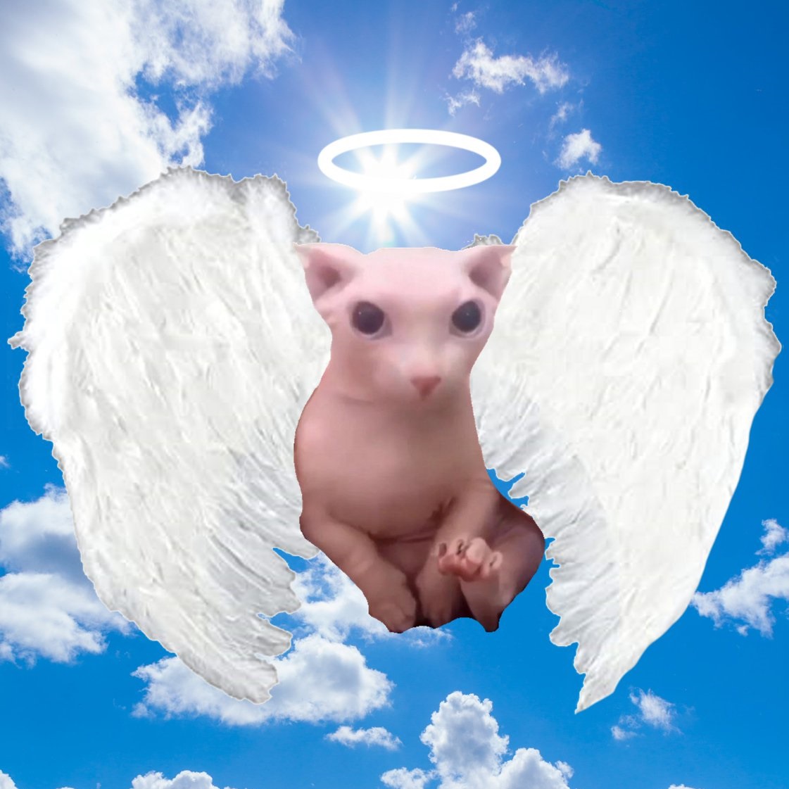 Revenge of the Bingus - Modpacks - Minecraft