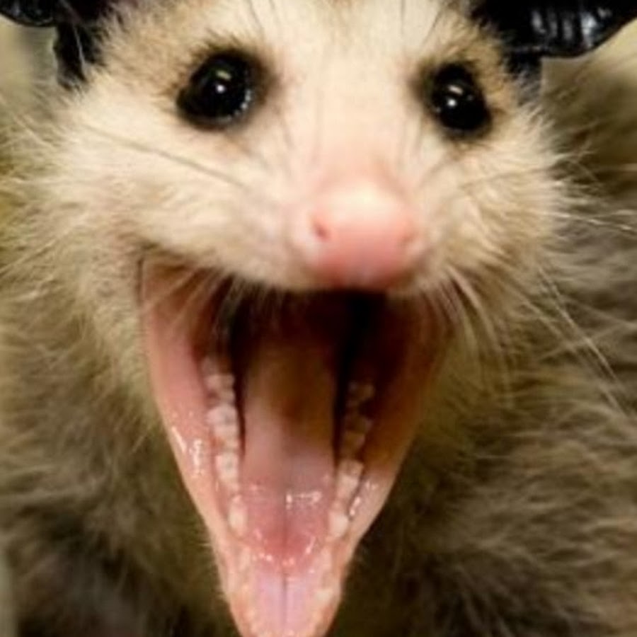 Andypack - Minecraft Modpacks - CurseForge