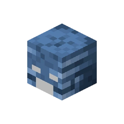Wither Face Minecraft