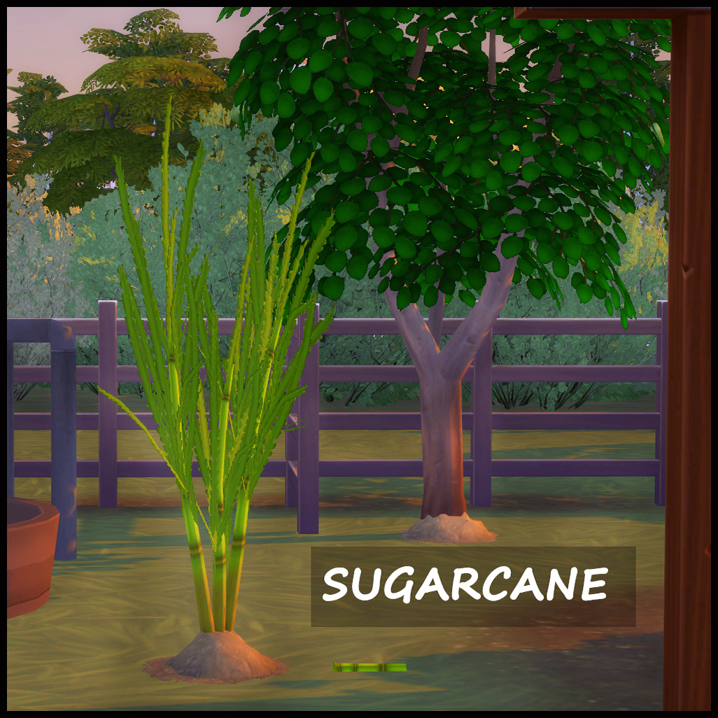 HARVESTABLE SUGARCANE - The Sims 4 Mods - CurseForge
